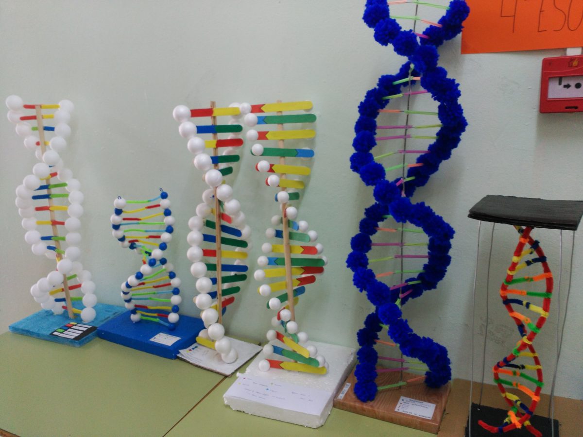 Modelos de ADN – IES Monegros – Gaspar Lax